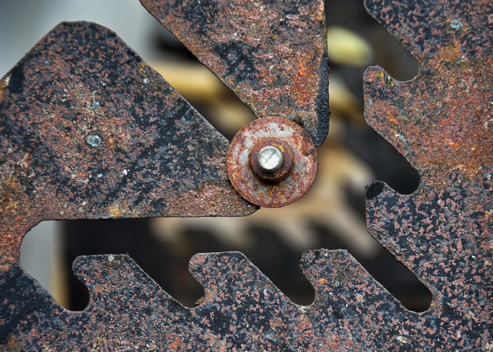 Der Zahn der Zeit Foto & Bild | fotos, spezial, makro Bilder auf ...