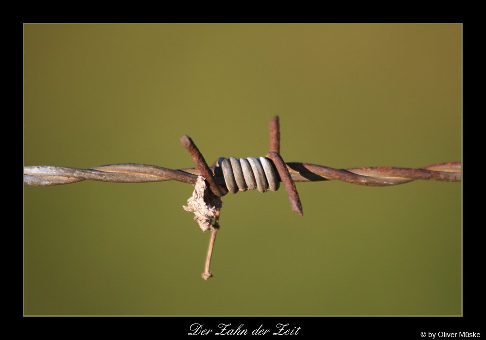 Der Zahn der Zeit Foto & Bild | sonstiges, natur und technik, natur ...