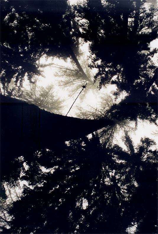 der zauberwald Foto & Bild | landschaft, natur Bilder auf fotocommunity