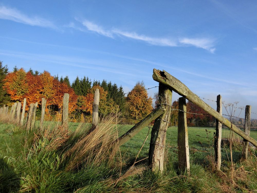 "Der Zaun" Foto & Bild | landschaft, zäune, bänke, wegweiser & co ...