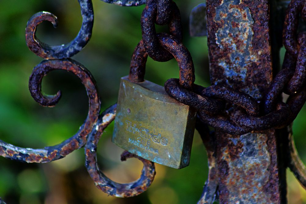 Der Zaun ist am wichtigsten ... Foto & Bild | world, youth, alt Bilder ...