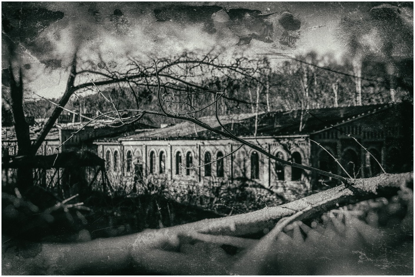 Der Zweig Foto & Bild | fotos, art, world Bilder auf fotocommunity