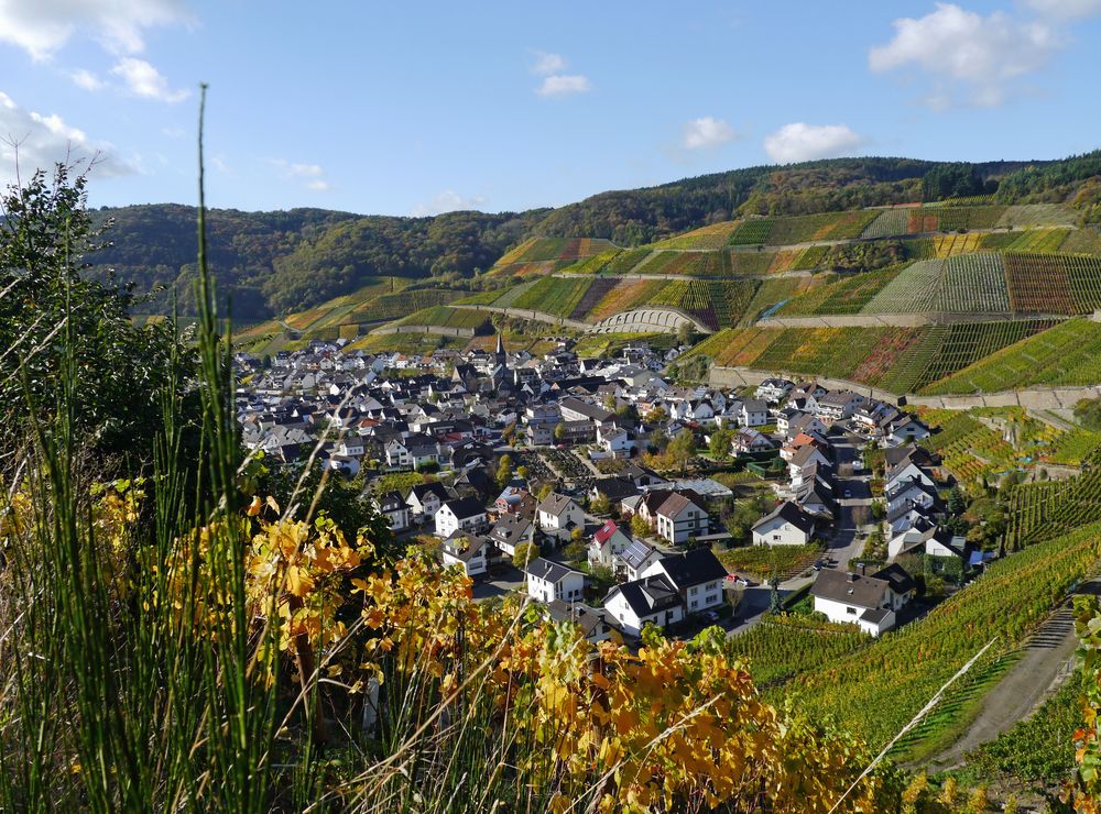 Dernau Foto & Bild | deutschland, europe, rheinland-pfalz Bilder auf fotocommunity