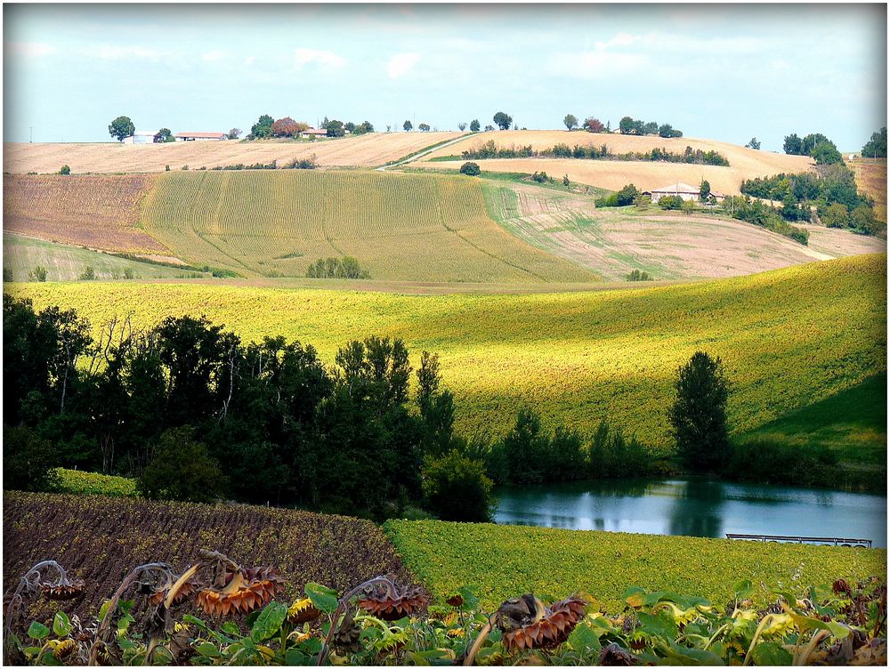 DERNIERE - VISION photo et image | paysages, paysages de campagne ...