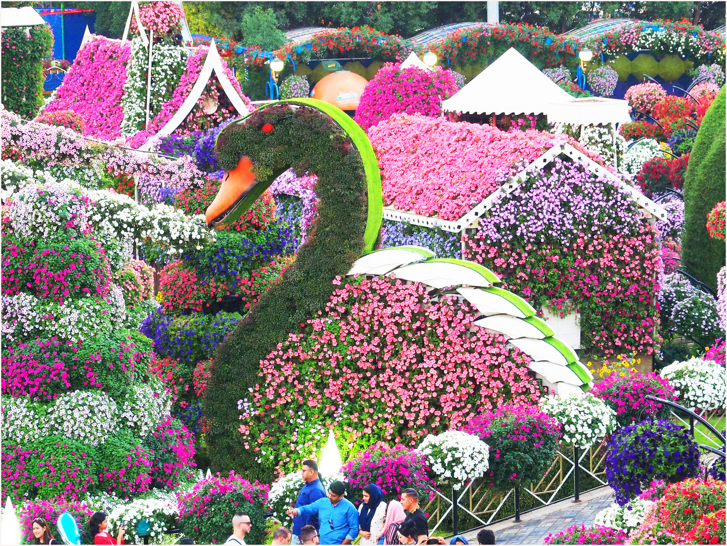 Des millions de fleurs photo et image | nature, world, blumen Images ...