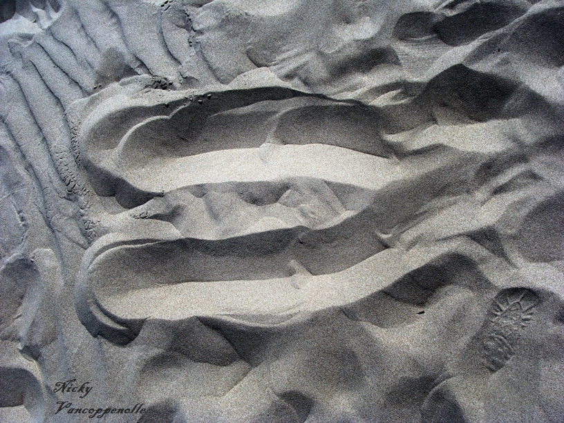 Des pas photo et image | divers, bray-dune, nature Images fotocommunity