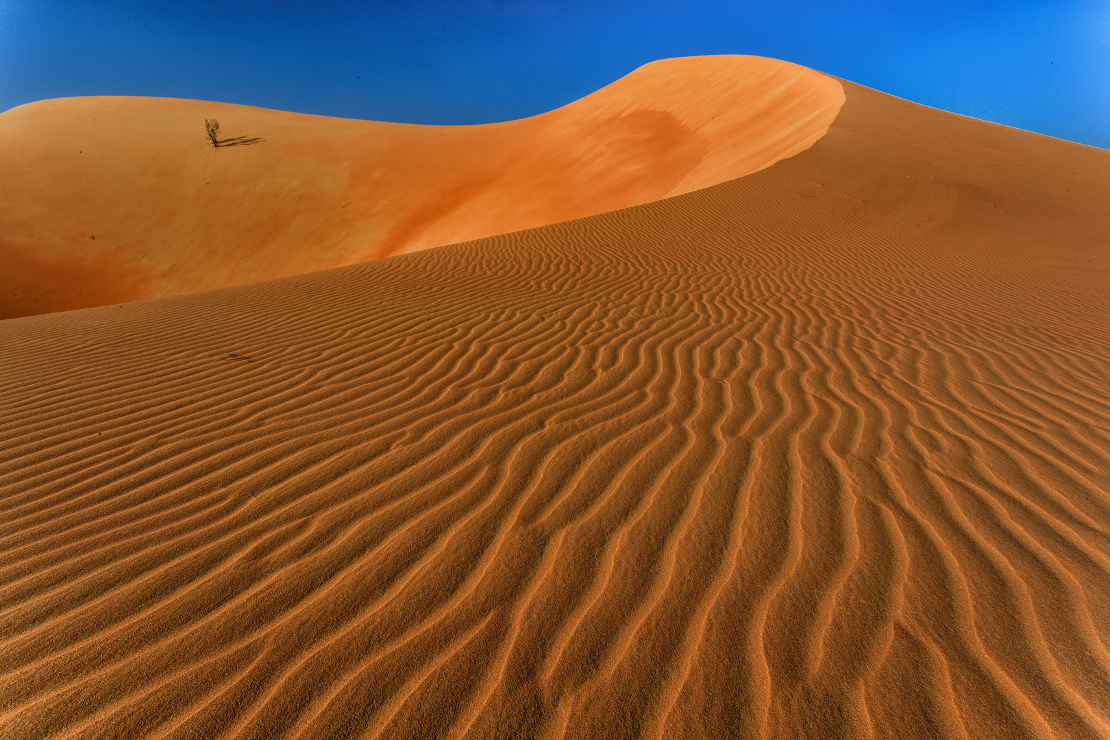 Desert Beauty Foto & Bild | landschaft, wüste, landschaften Bilder auf fotocommunity