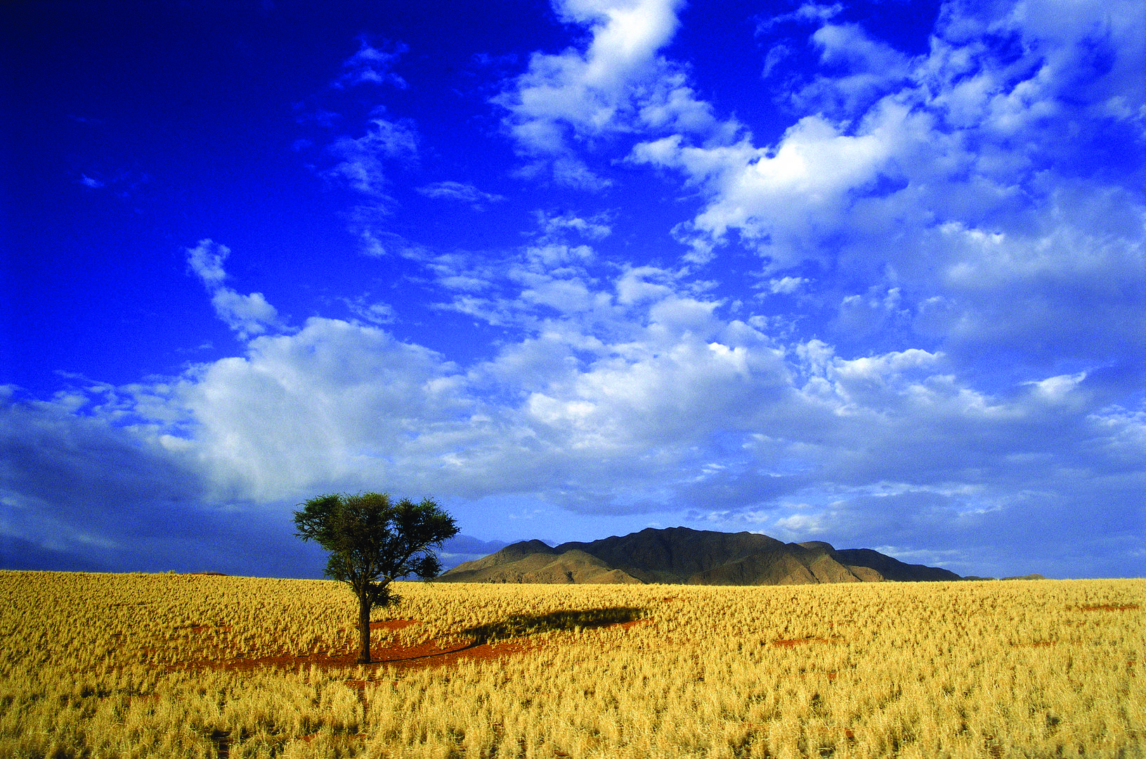Desert Colours and Contours (4) Foto & Bild | africa, southern africa ...