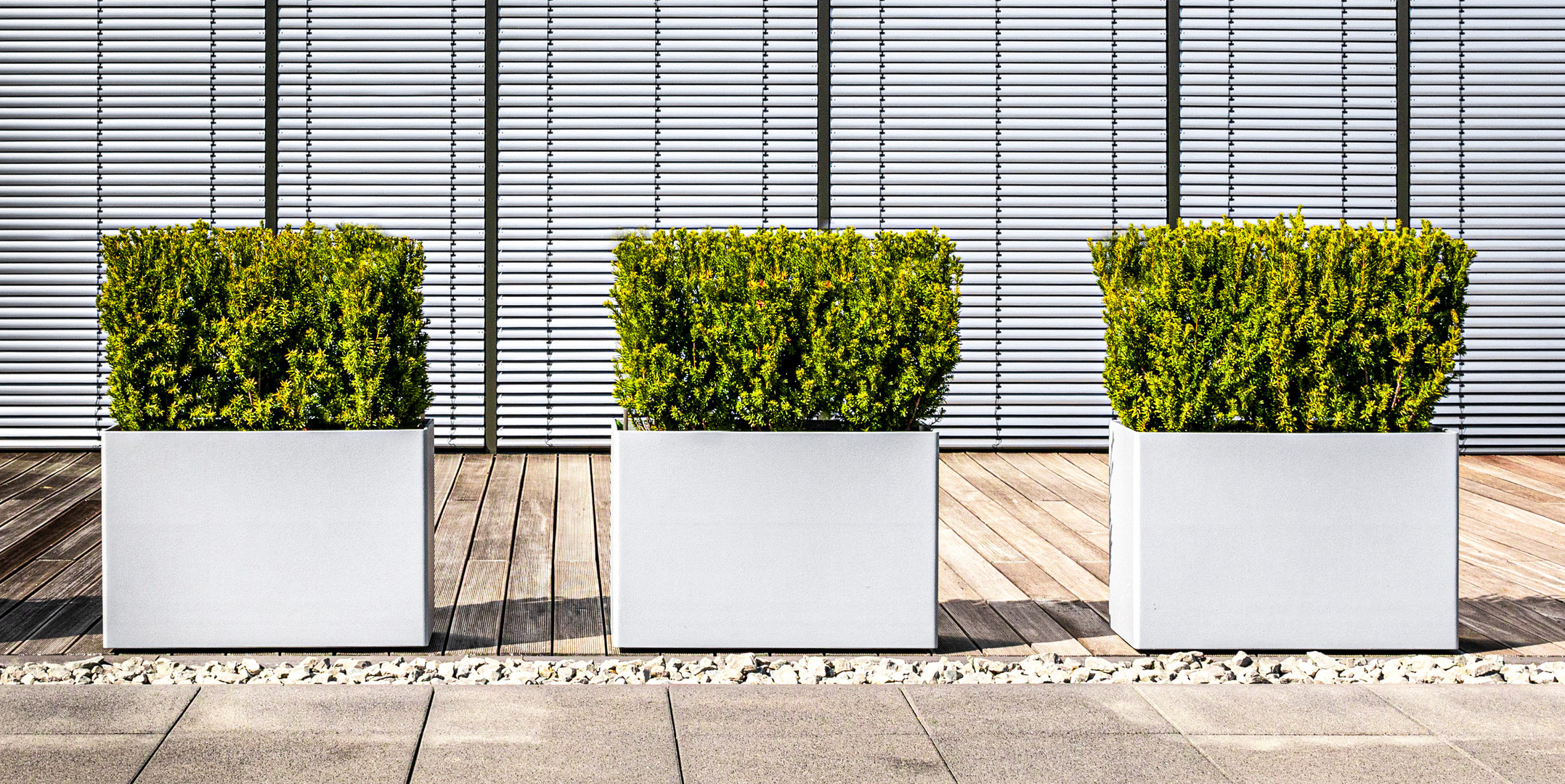 designed nature #3 Foto & Bild | architektur, pflanzen, pilze ...