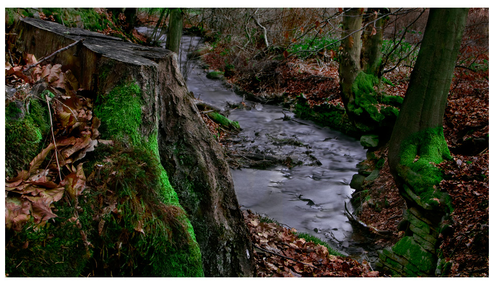 Designgarten - Schloss Gimborn Foto & Bild | architektur, zierbrunnen ...