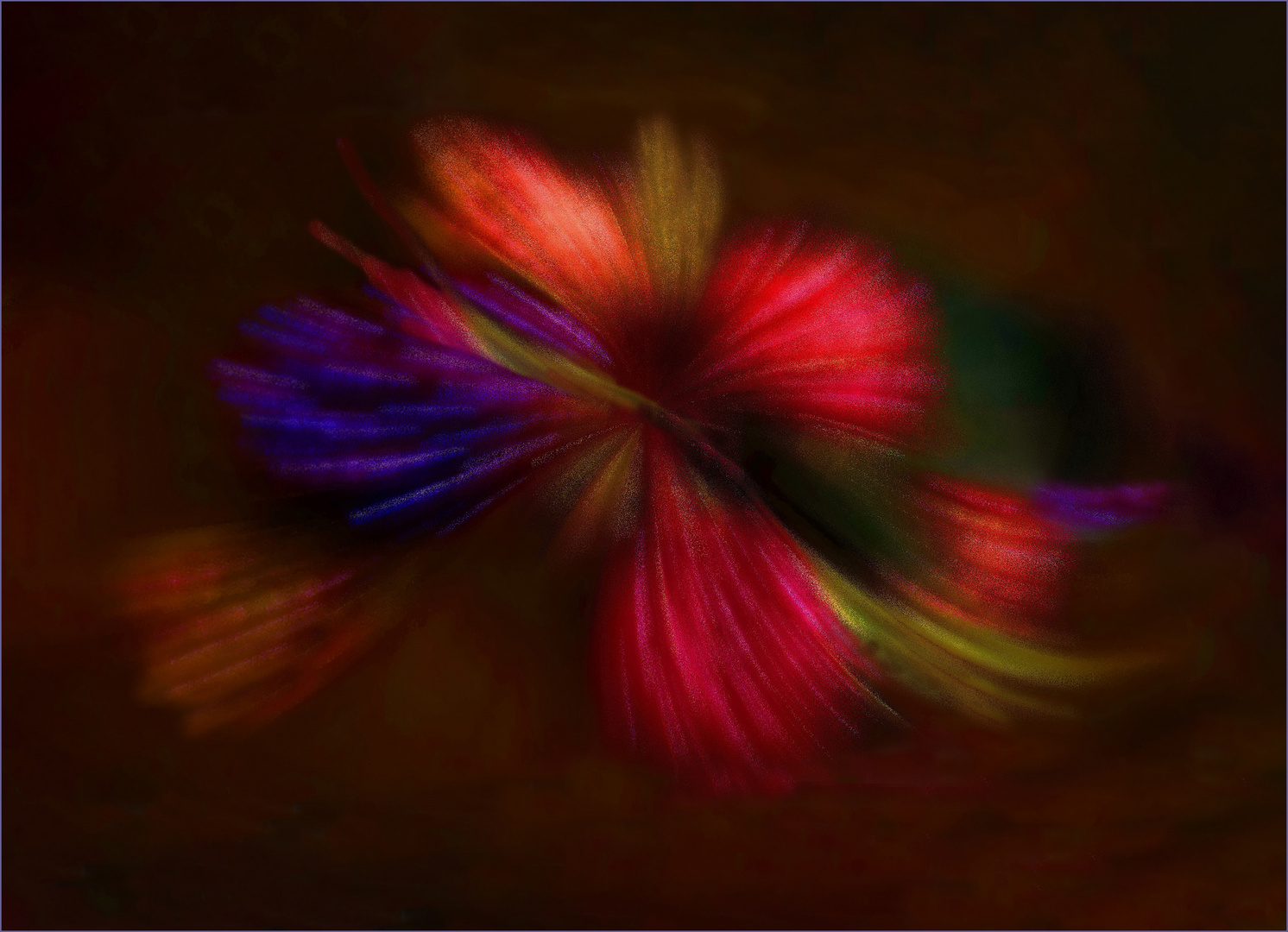 Destellos en diciembre Foto & Bild | fotos difusas , fotos, natur ...