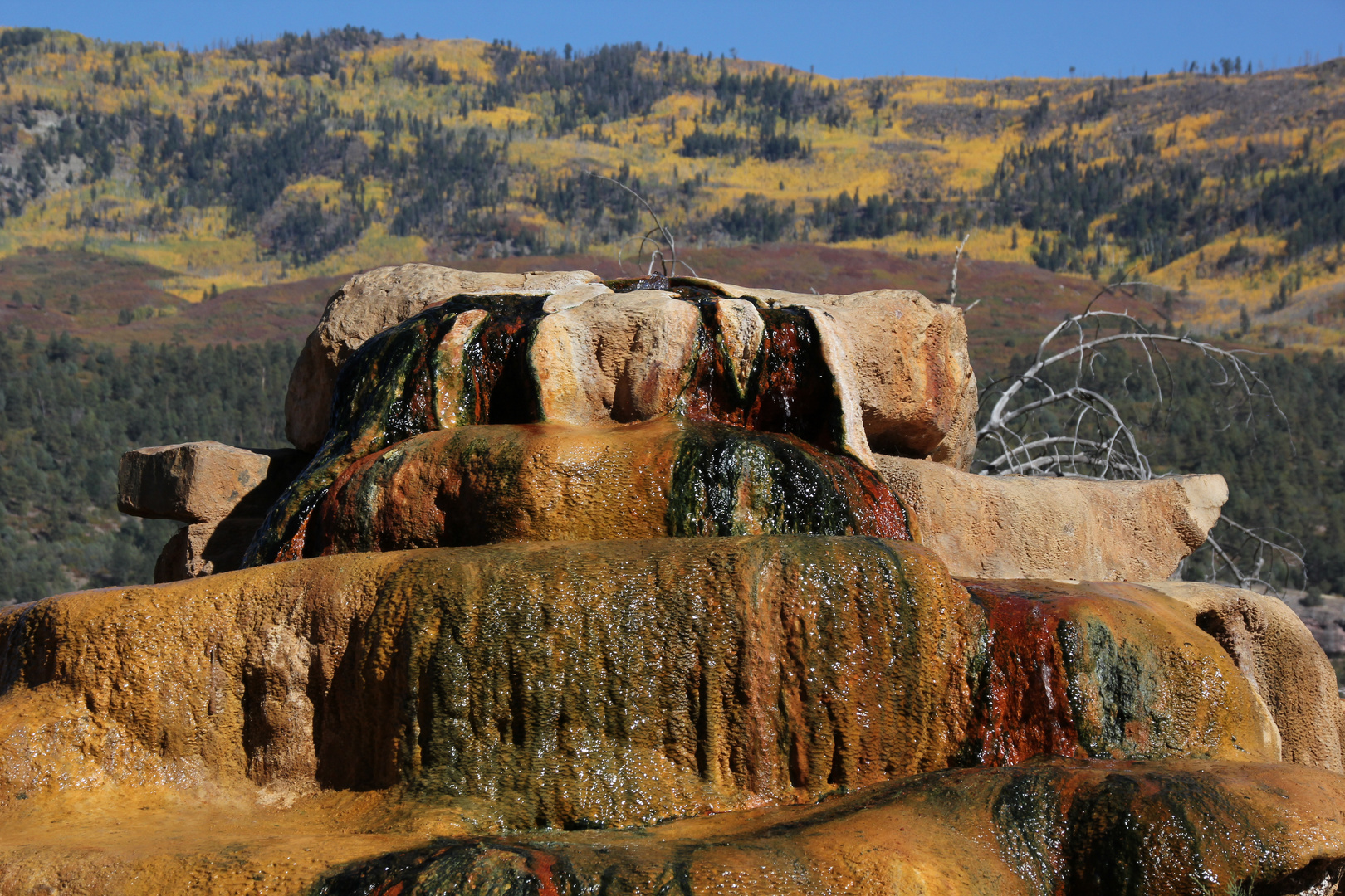 Detail von den Pinkerton Hot Springs bei Durango.... Foto & Bild ...