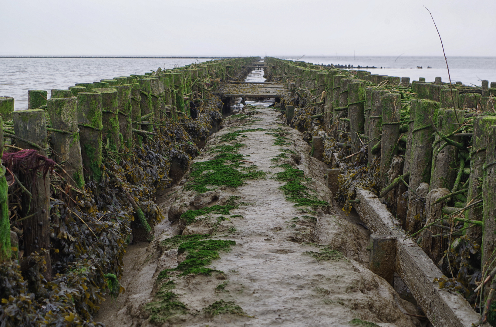 Deus Mare, Friso Litora Fecit Foto & Bild | wasser, sand, himmel Bilder ...