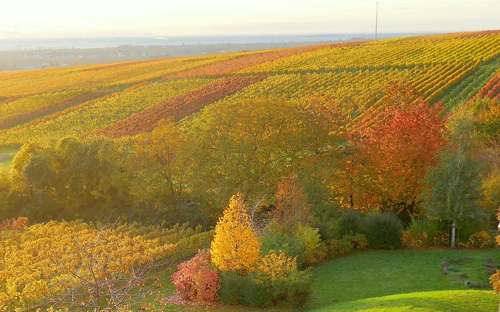 Deutsche Weinstraße Pfalz (2) Foto & Bild | deutschland, europe ...