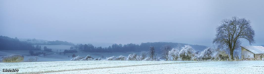 Dezember Foto & Bild | landschaft, fotokunst, world Bilder auf ...