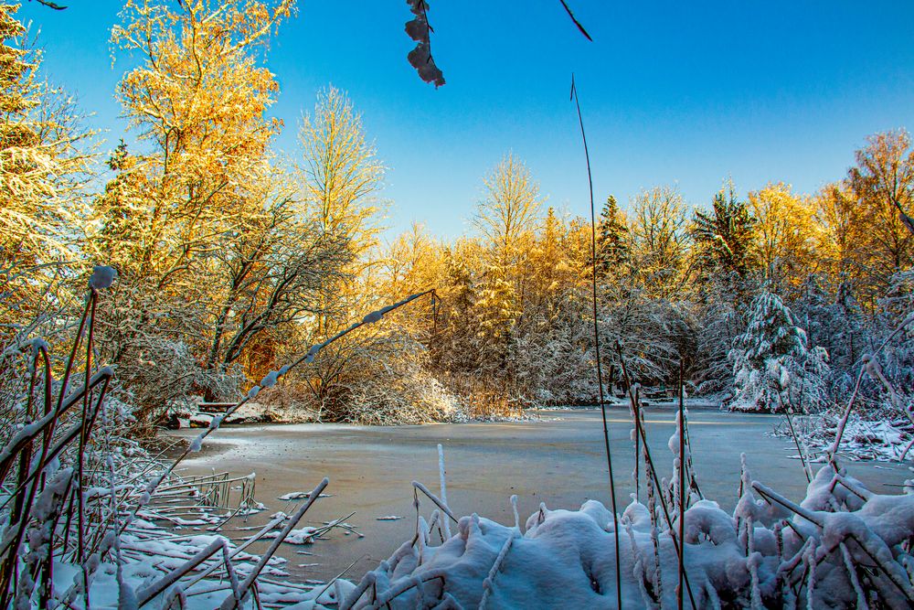 Dezember Foto & Bild | landschaft, sonstiges, jahreszeiten Bilder auf ...