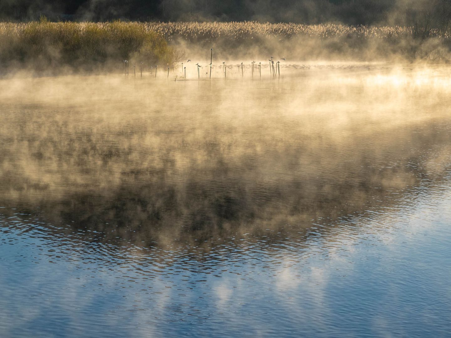 di prima mattina Foto % Immagini| paesaggio, acqua, natura Foto su ... di prima mattina Foto % Immagini| paesaggio, acqua, natura Foto su ...