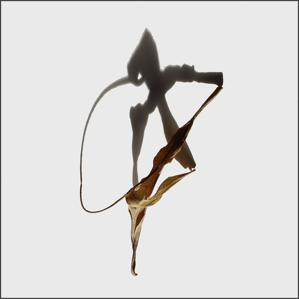 diabolo Foto & Bild | archiv, die besten bilder, archiv 2011 - 2012 ...