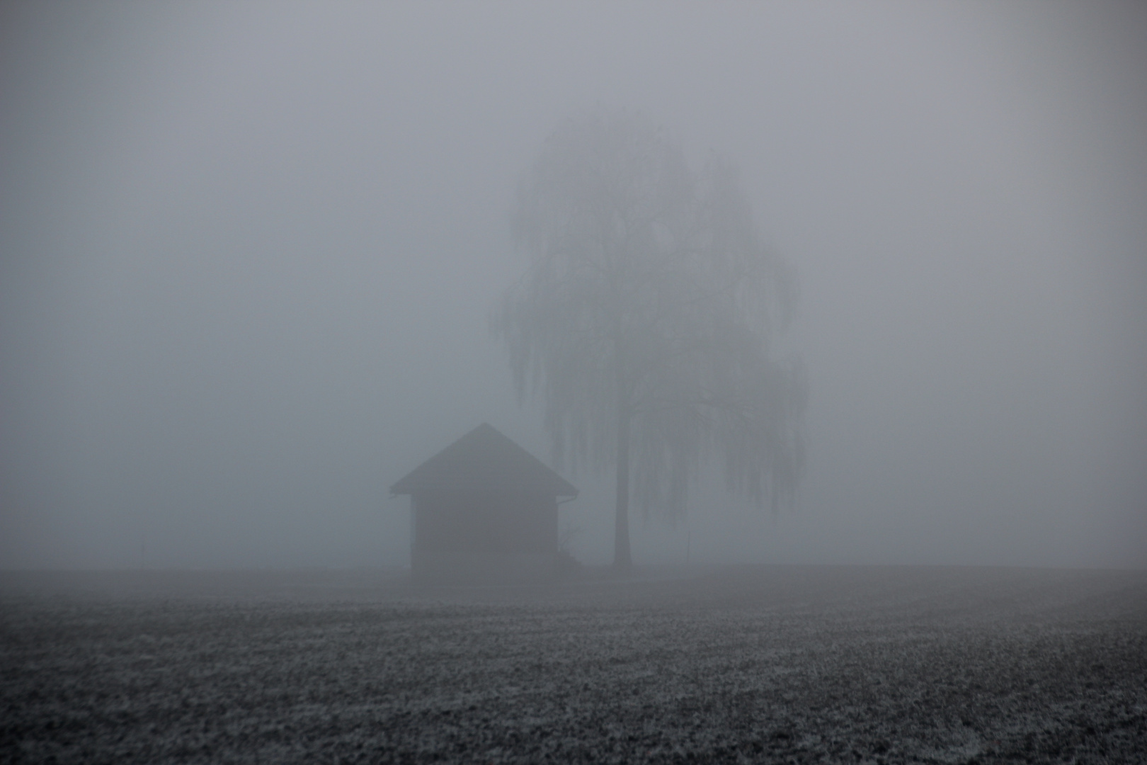 Dichter Nebel Foto & Bild | landschaft, nebel haus baum, natur Bilder ...