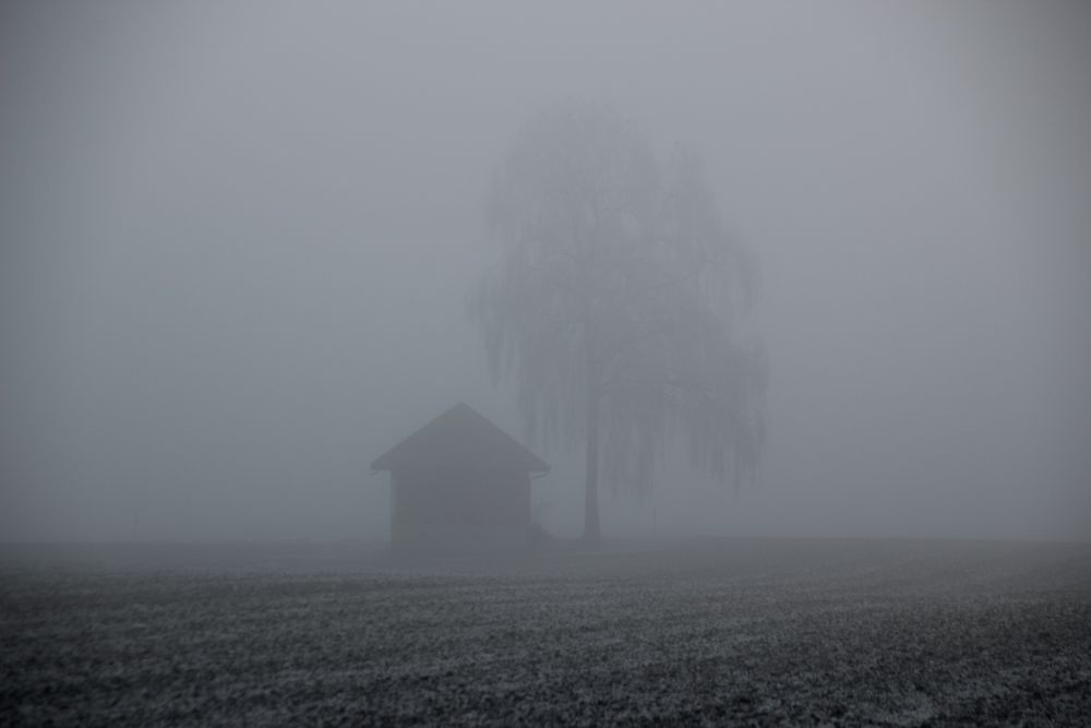 Dichter Nebel Foto & Bild | landschaft, nebel haus baum, natur Bilder ...