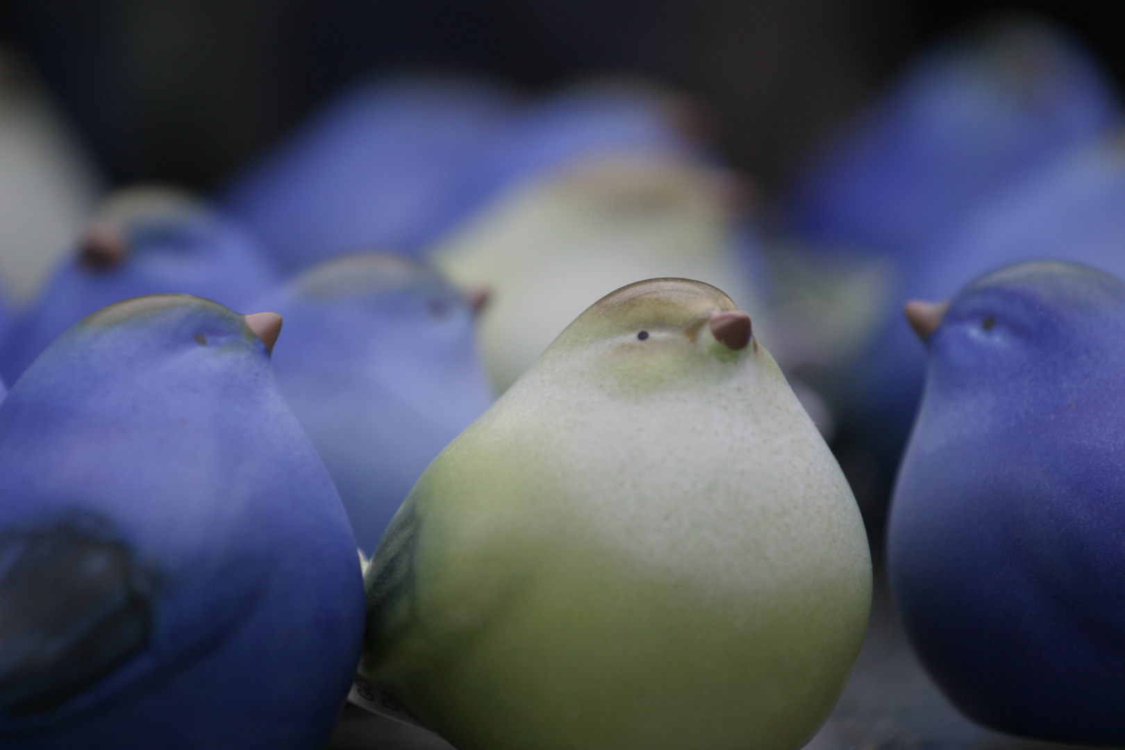 Dicker, kleiner Vogel Foto & Bild | stillleben, figuren und miniaturen ...