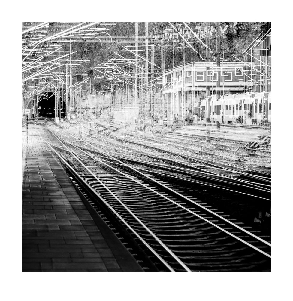 Dickicht Foto & Bild | experimente, monochrom, bearbeitungs - techniken Bilder auf fotocommunity