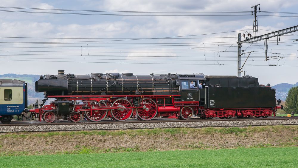 Die 01 - 202 lebt noch! Foto & Bild | eisenbahn, verkehr, fahrzeuge ...