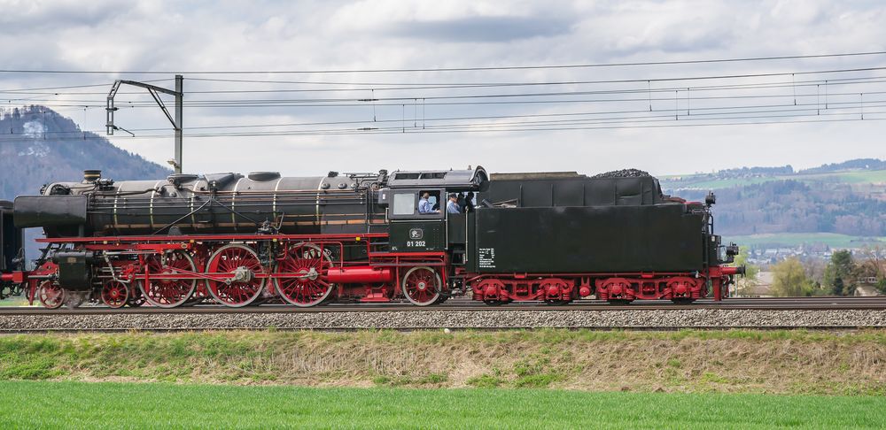 Die 01 - 202 lebt noch! Foto & Bild | eisenbahn, verkehr, fahrzeuge ...