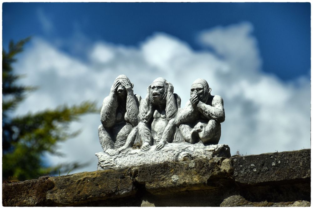 die 3 Affen Foto & Bild | spezial, stillleben, figuren Bilder auf ...