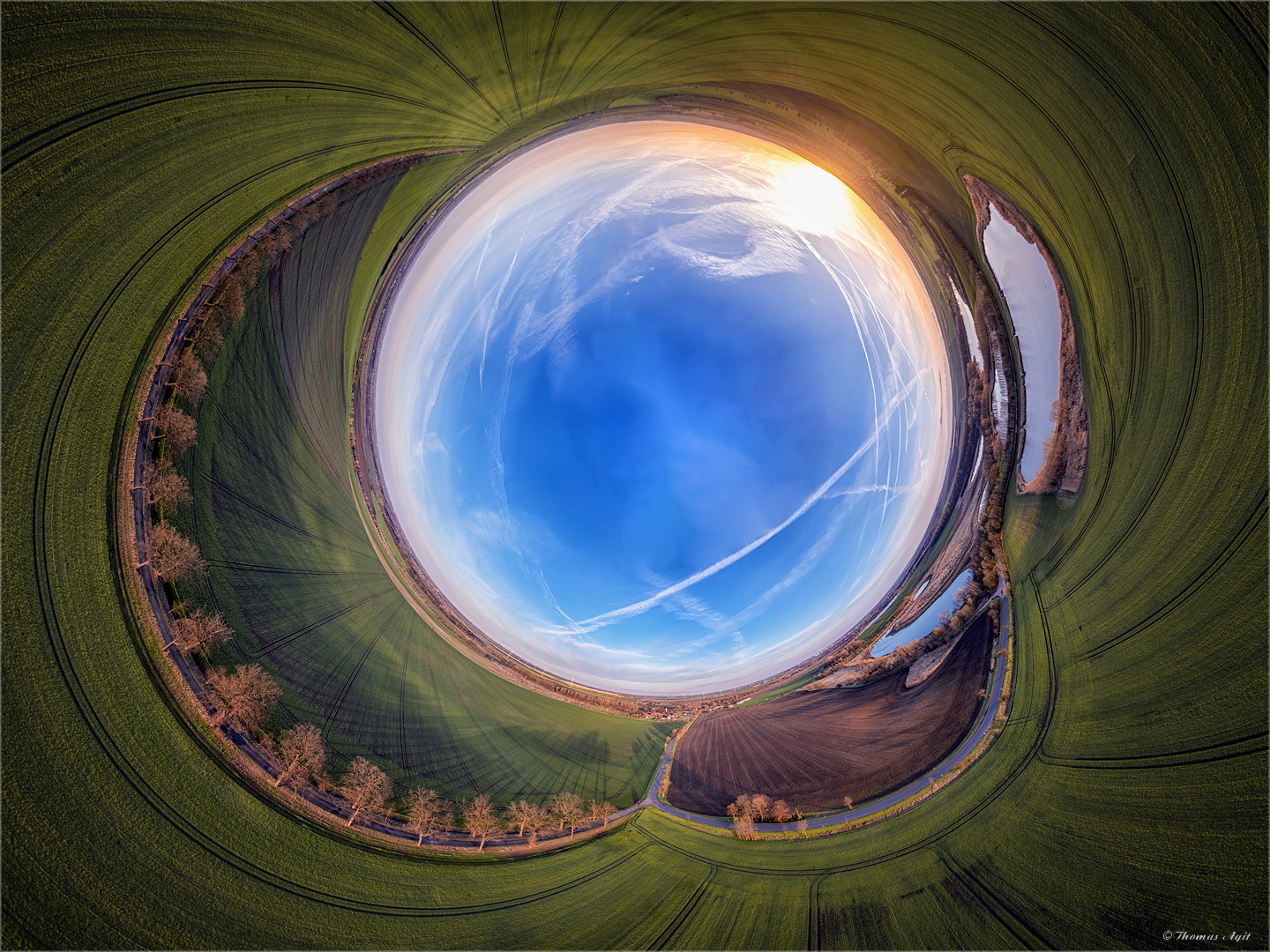 Die Allee... Foto & Bild | bäume, panorama, 360 Bilder auf fotocommunity