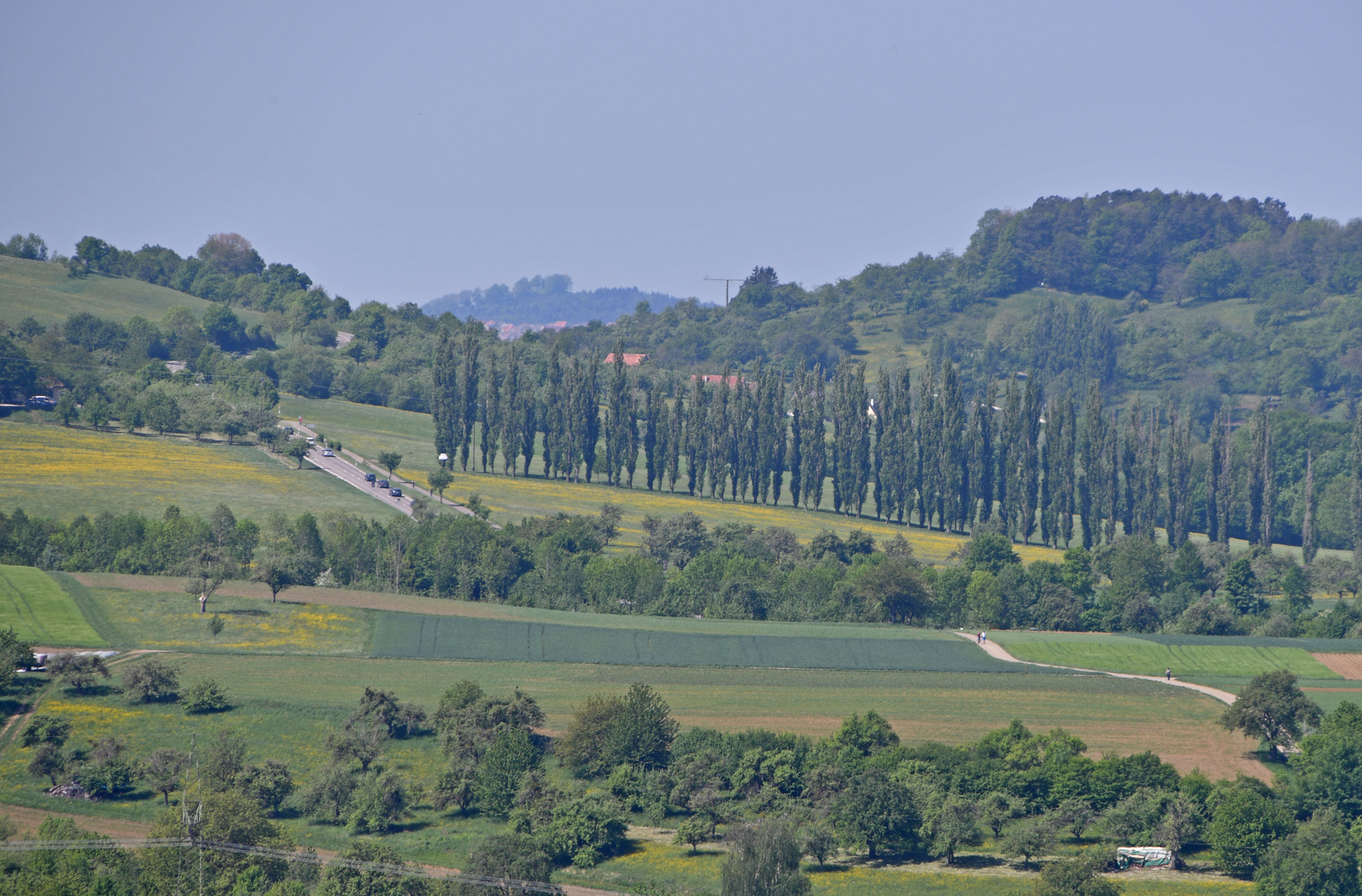 Die Allee Foto & Bild | landschaft, alleen, natur Bilder auf fotocommunity