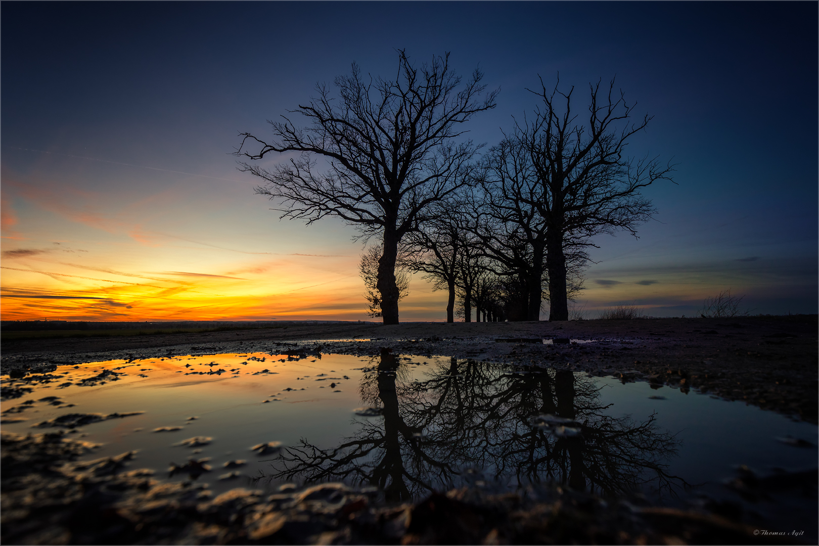 Die Allee... Foto & Bild | sonnenuntergang, bäume, landschaft Bilder ...
