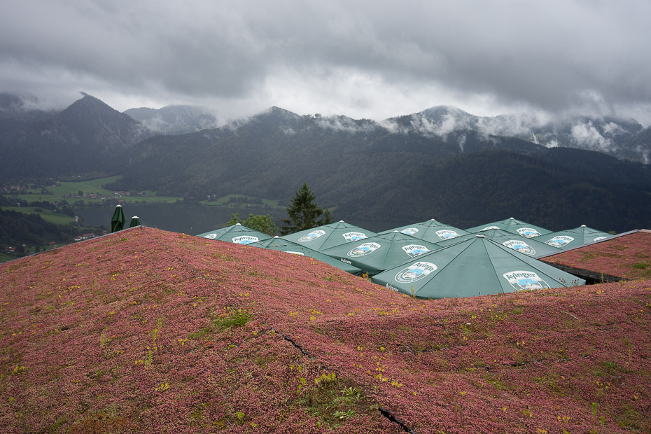 Die Alm Foto & Bild | world, dokumentation, europa Bilder auf fotocommunity