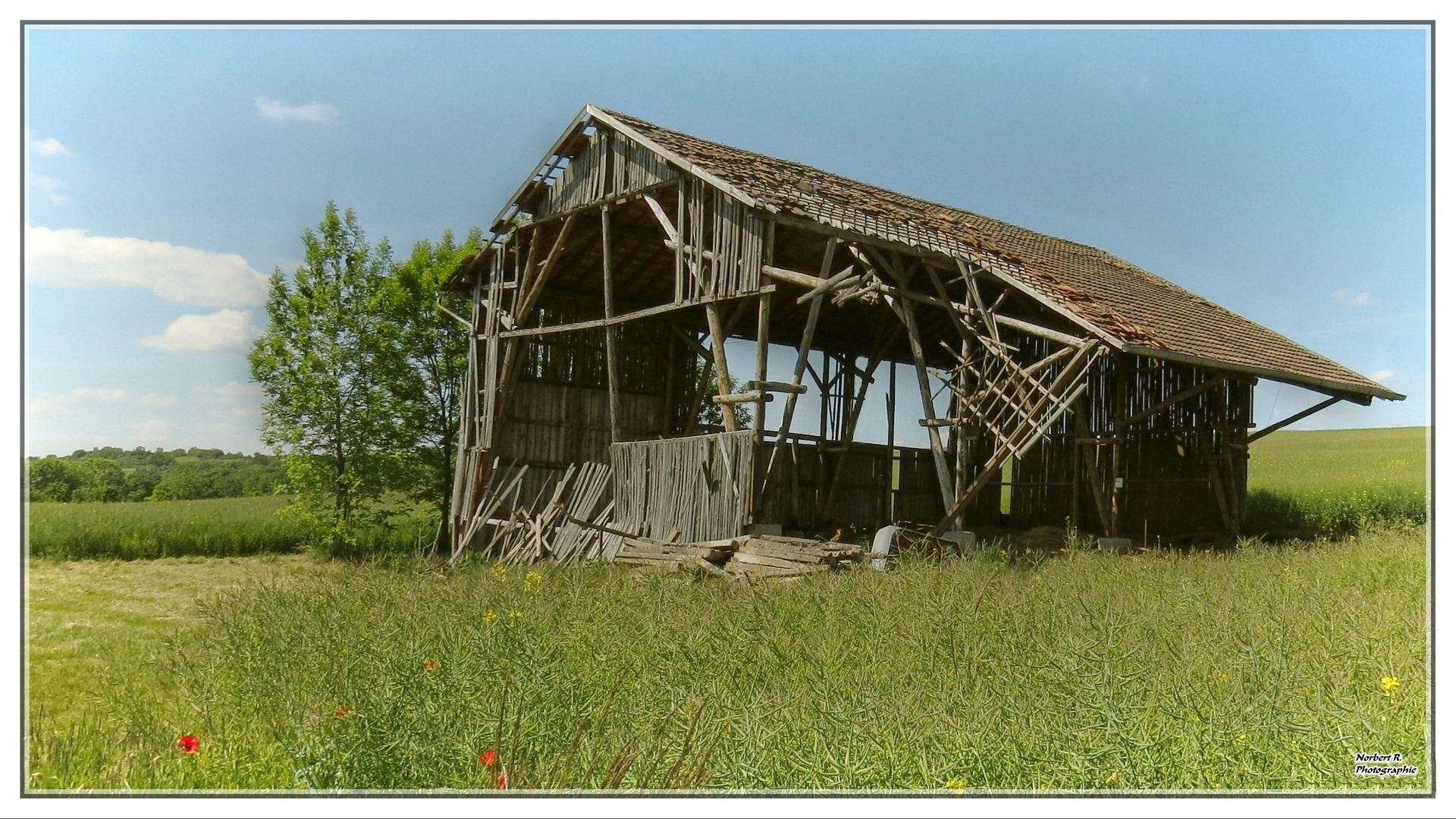 Die alte Scheune Foto & Bild | natur, landschaft, eifel Bilder auf ...