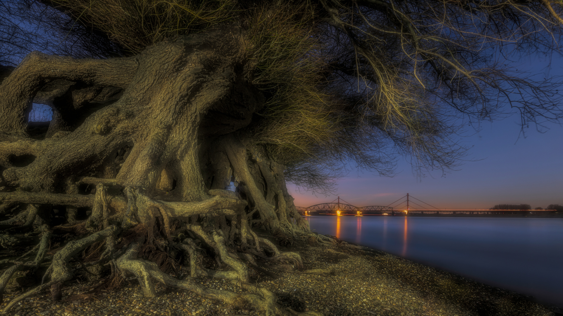 Die alte Weide ... Foto & Bild | wasser, baum, natur Bilder auf ...