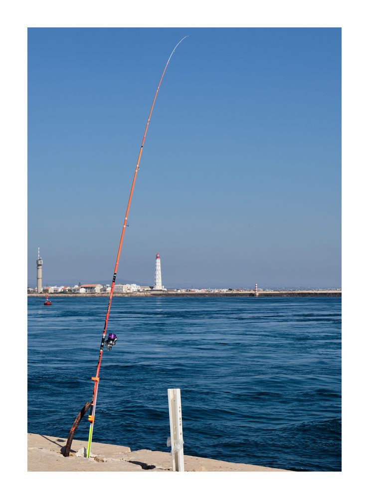 Die Angel Foto & Bild | urlaub, world, sommer Bilder auf fotocommunity