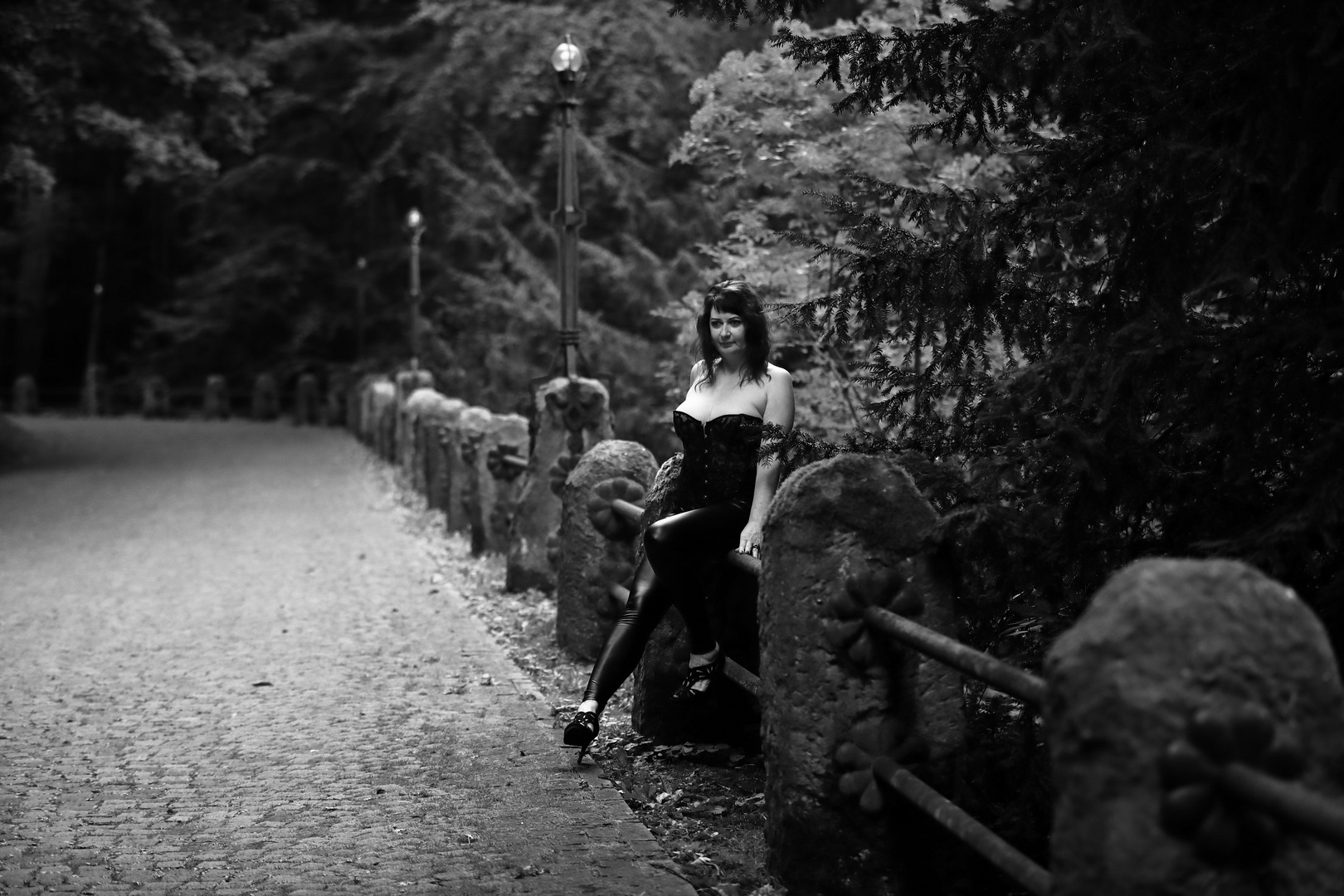 Die Auffahrt... Foto & Bild | outdoor, sw, natur Bilder auf fotocommunity