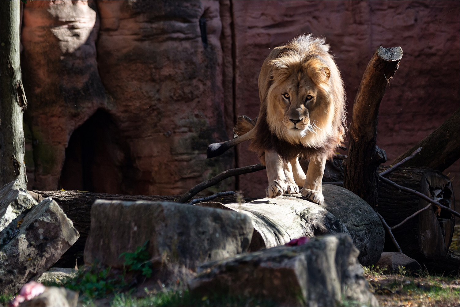 Die Beute im Blick Foto & Bild | reportage dokumentation, deutschland ...