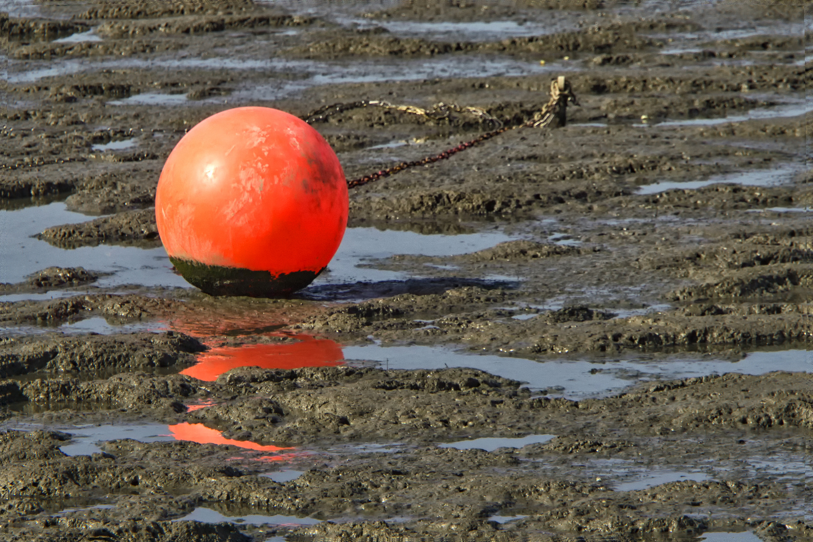 Die Boje als Farbtupfer Foto & Bild | world, wasser, meer Bilder auf ...