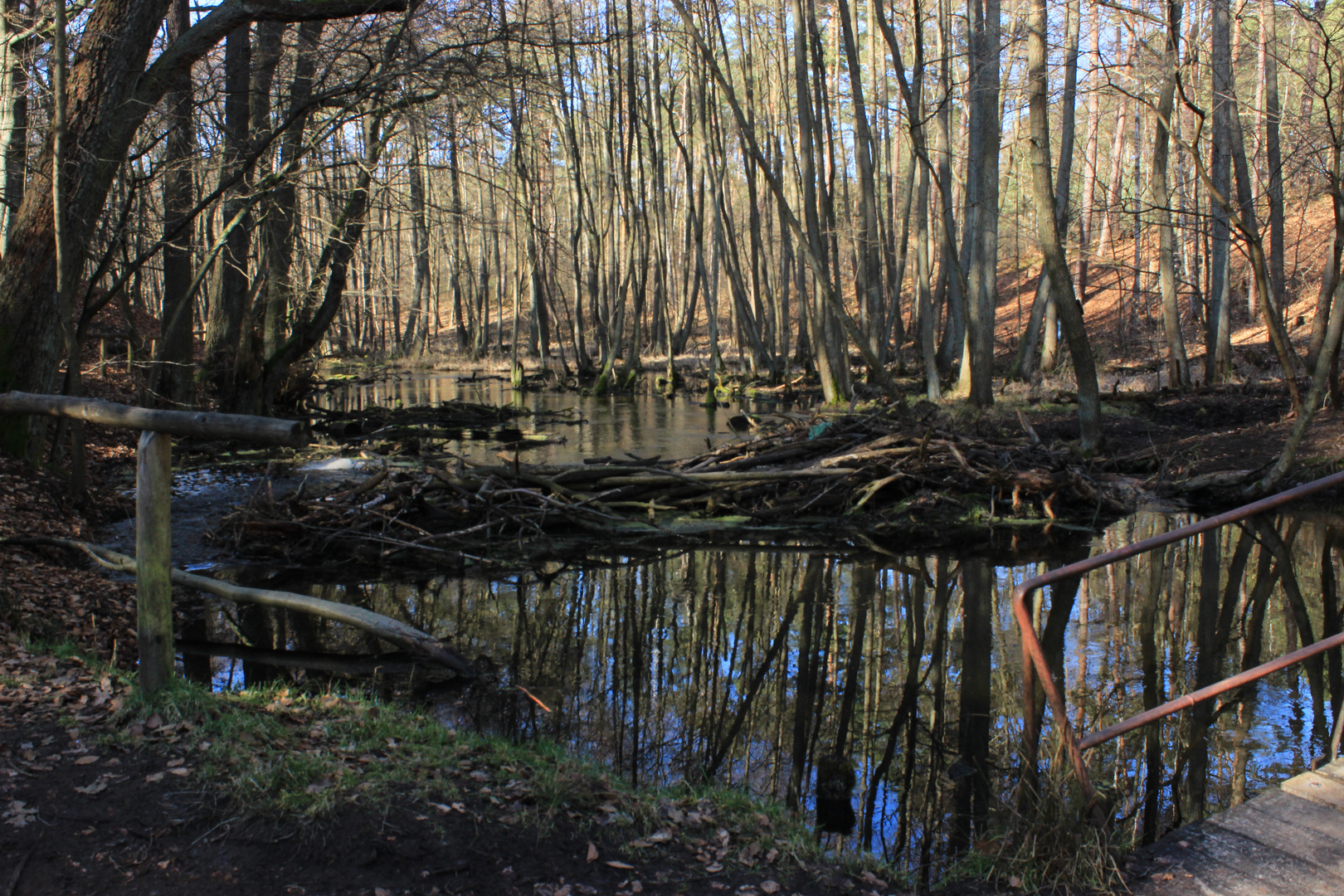 Die Briese Foto & Bild | landschaft, bach, fluss & see, flüsse und ...