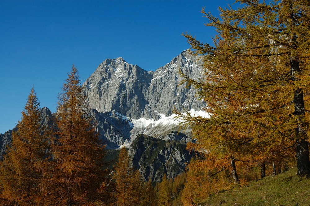 Die Dachstein Südwand Foto & Bild | jahreszeiten, natur Bilder auf ...
