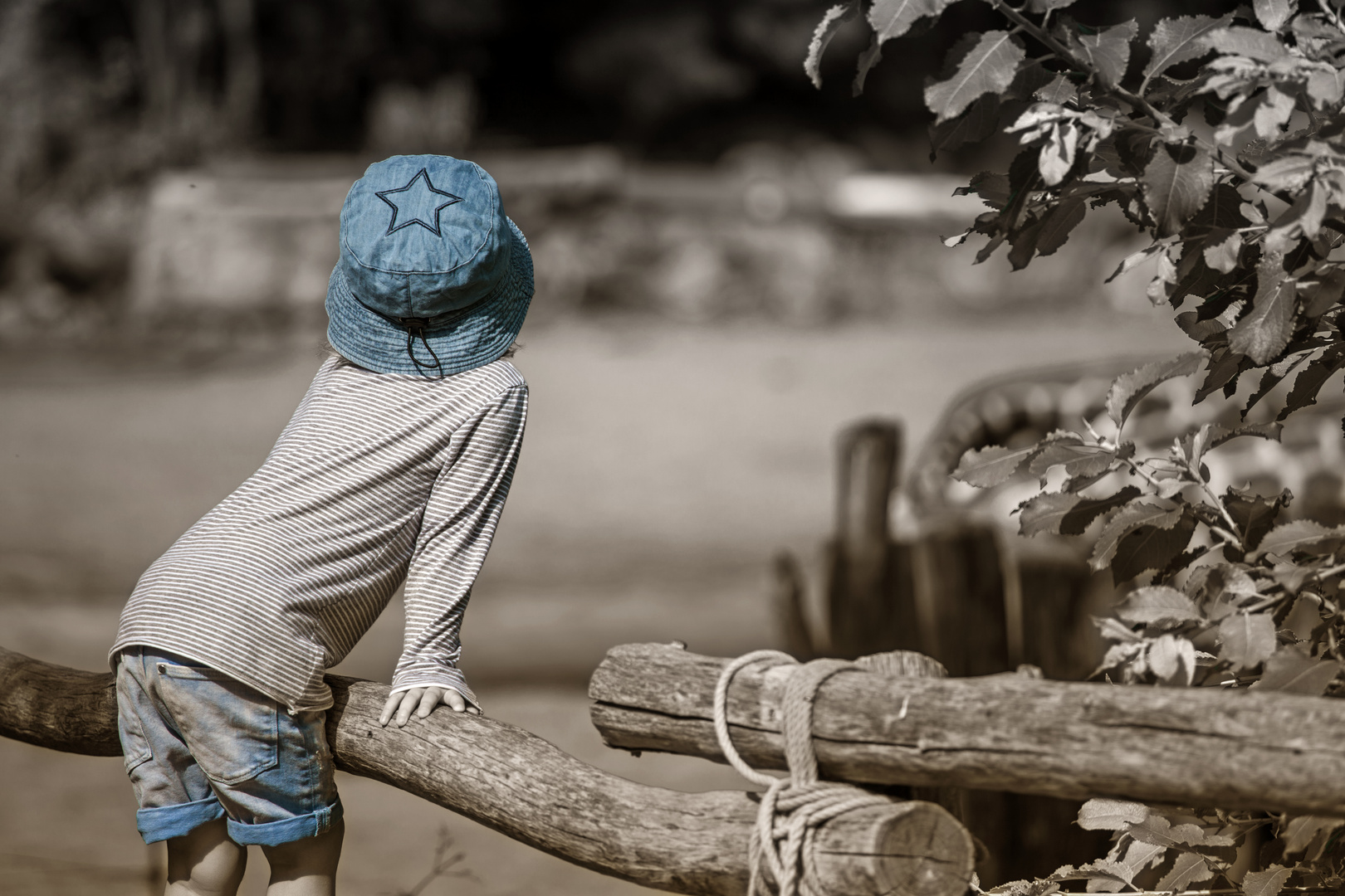 Die die Welt entdecken Foto & Bild | kinder, emotionen, colorkey Bilder ...