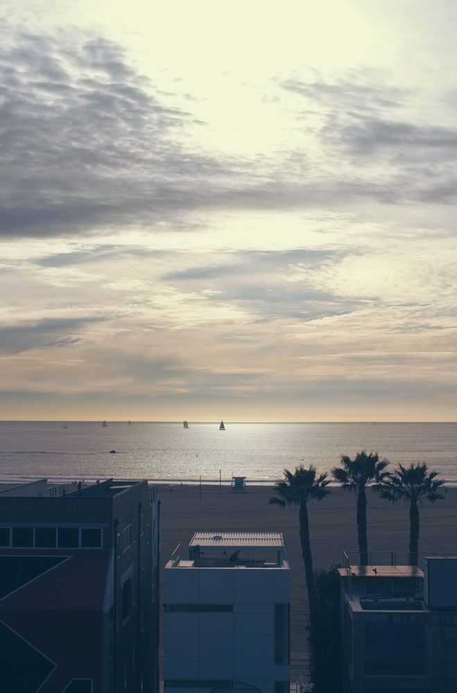 die drei Palmen Foto & Bild | beach, usa, world Bilder auf fotocommunity