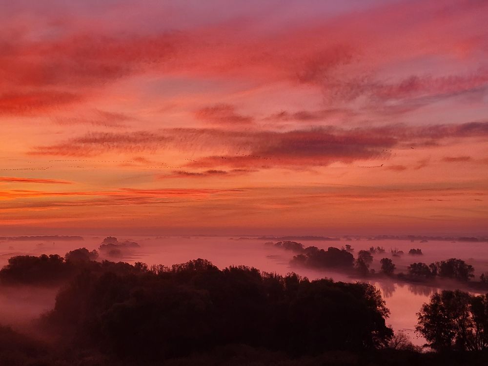 Die Elbe brennt Foto & Bild | jahreszeiten, herbst, insekten Bilder auf ...