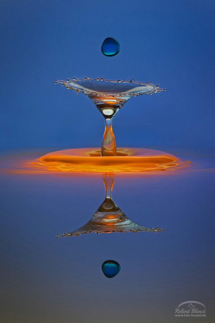 Die Eleganz der Wassertropfen Foto & Bild | spezial, wasser, tropfen ...