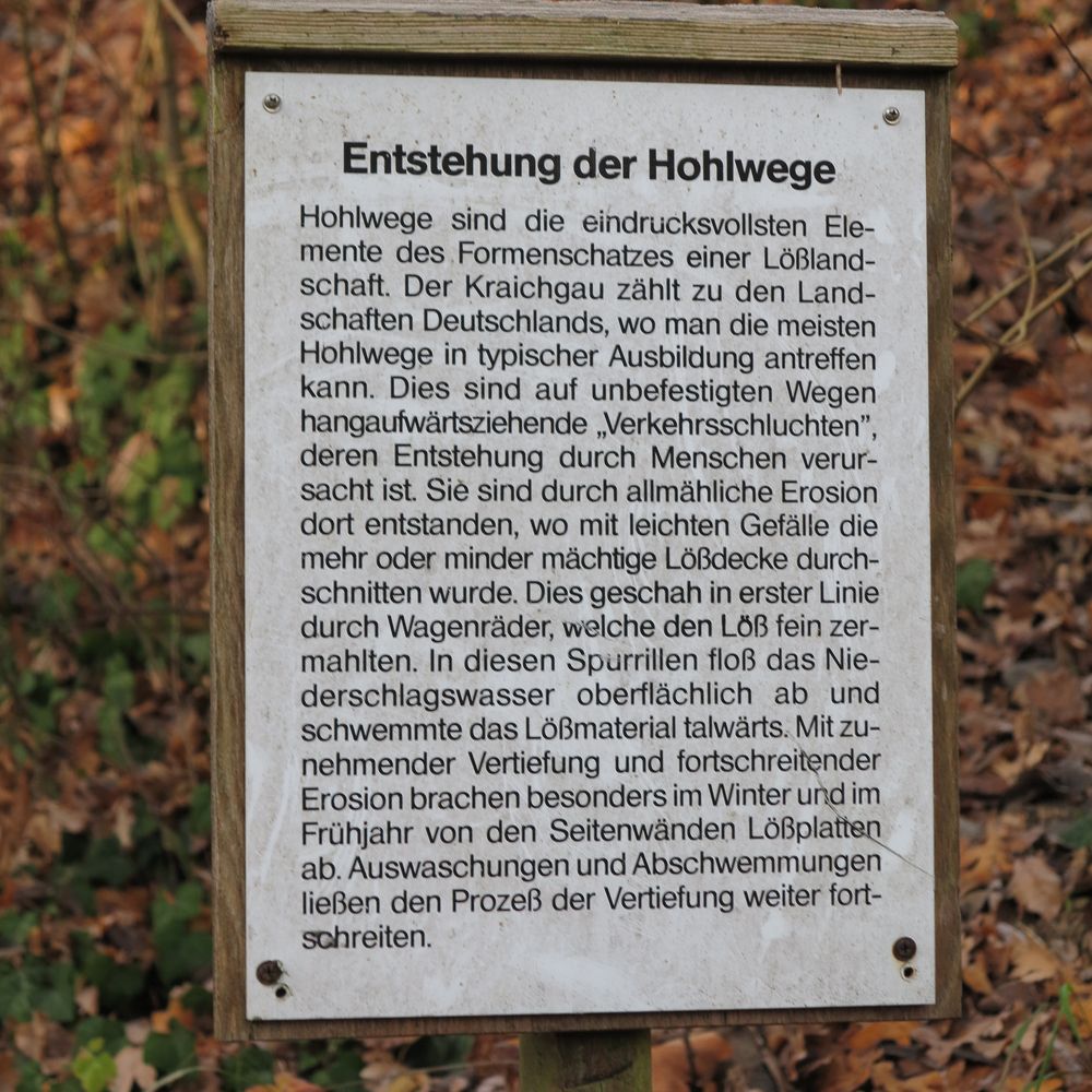 Die Entstehung der Hohlwege Foto & Bild | spezial, natur, entstehung ... Die Entstehung der Hohlwege Foto & Bild | spezial, natur, entstehung ...