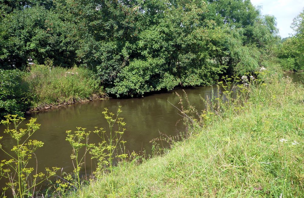Die Erft .... mein Insektenparadies.... Foto & Bild | landschaft, bach ...
