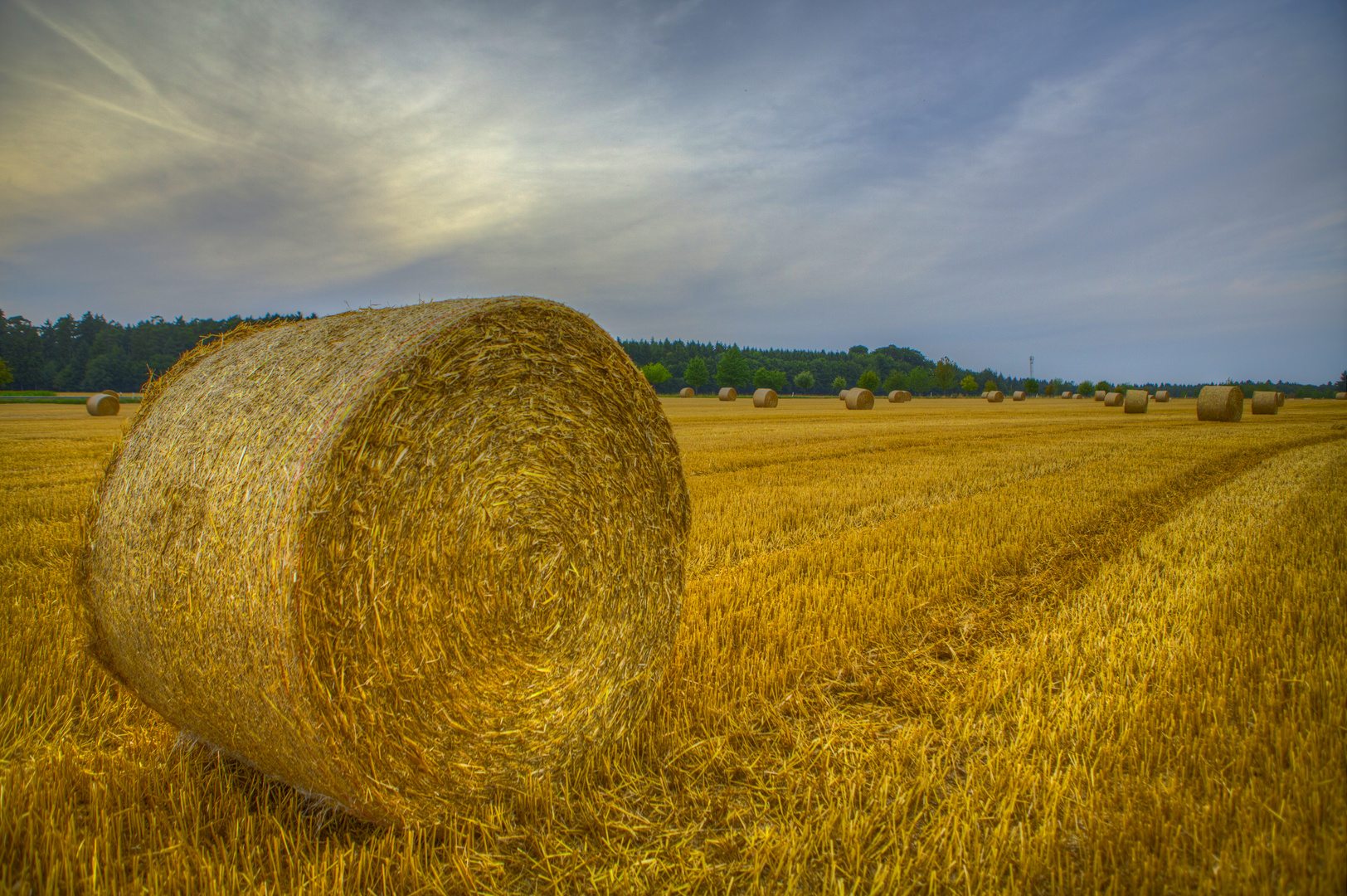 Die Ernte beginnt Foto & Bild | deutschland, europe, rheinland-pfalz ...