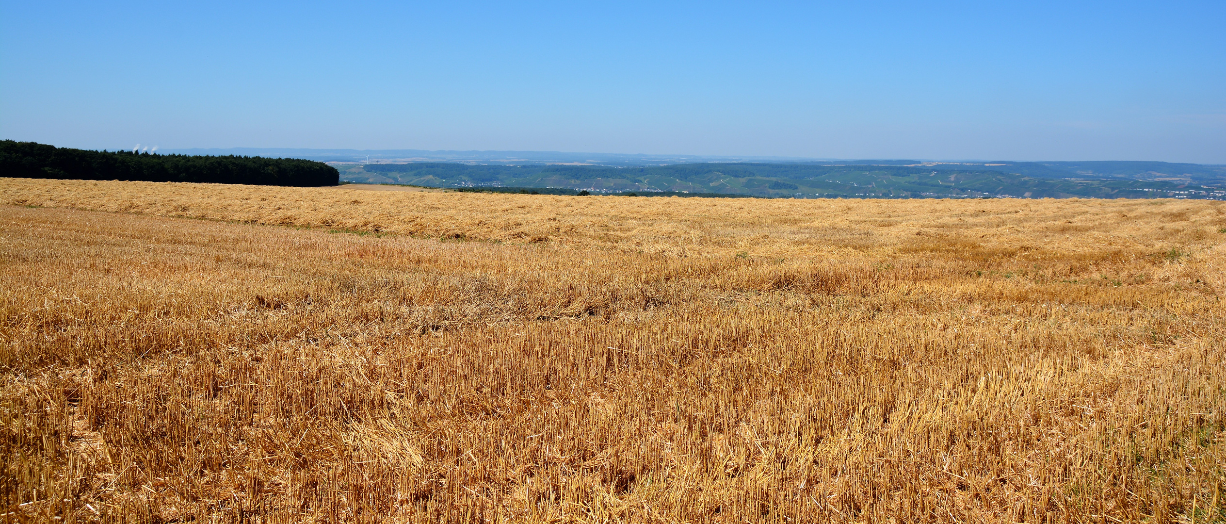 Die Ernte ist drin Foto & Bild | deutschland, europe, saarland Bilder ...
