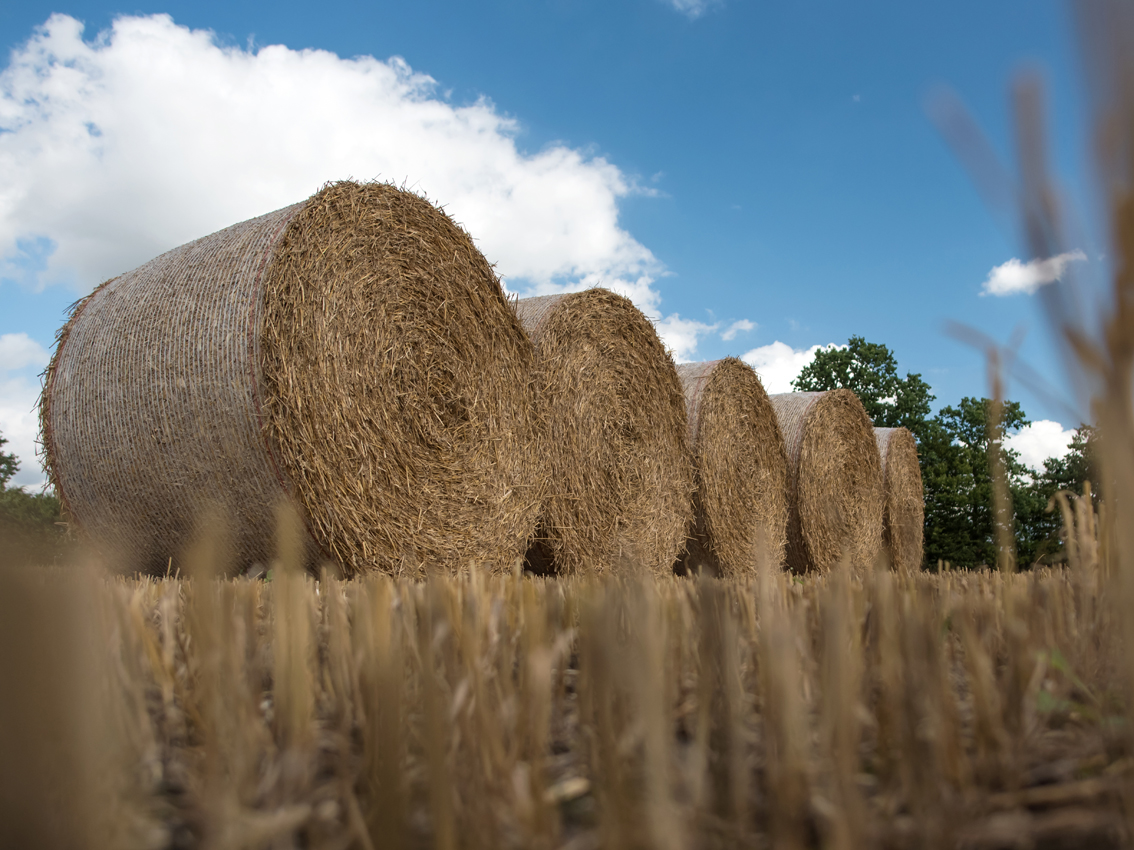 Die Ernte ist eingefahren Foto & Bild | reportage dokumentation ...